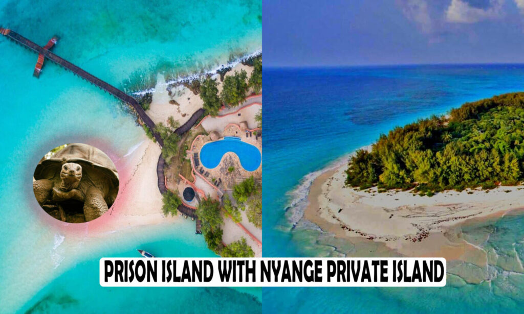 PRISON ISLAND WITH NYANGE PRIVATE ISLAND – NUNGWI BEACH TOURS
